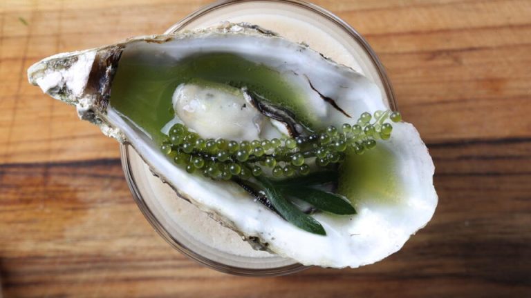 Steamed Oysters on Seaweed with Salty Coffee Cocktail - WBQA - World ...
